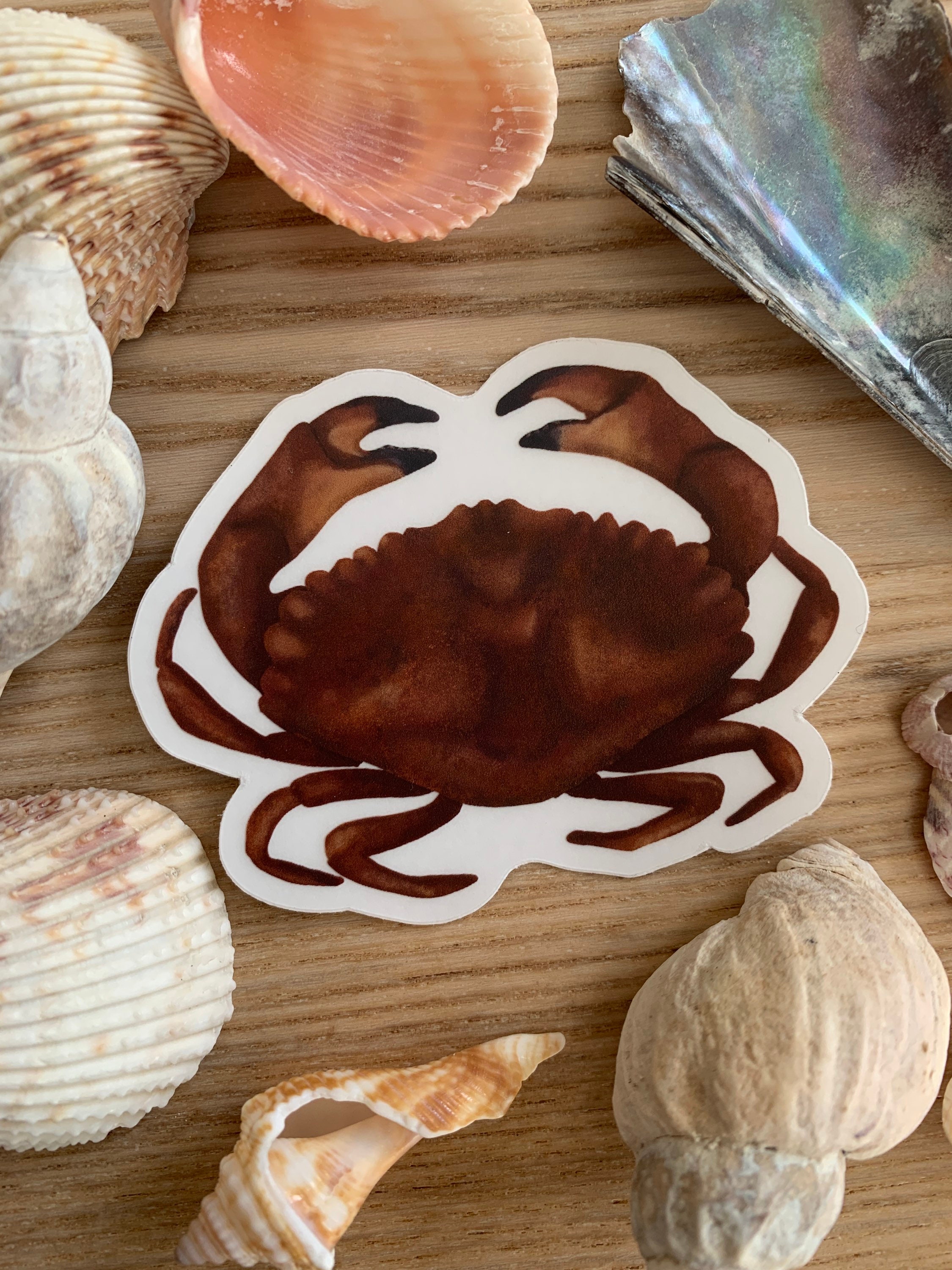 Red Rock Crab Sticker Salish Sea Red Crab Decal Intertidal - Etsy