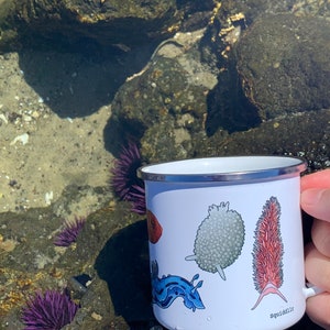 Sea Slug Enamel Mug | Nudibranch Camping Cup | Intertidal Zone Art ...