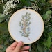 PDF Pattern, Juniper Branch, Embroidery Pattern, Beginner Embroidery ...
