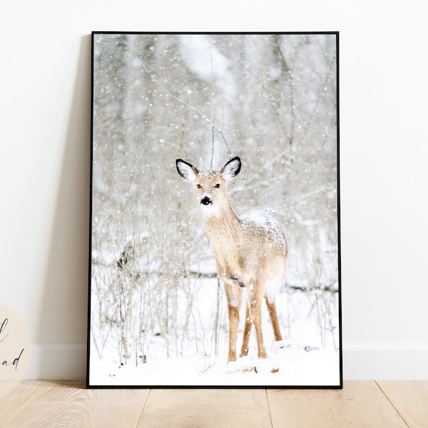 Framed Doe Wall Art - Etsy