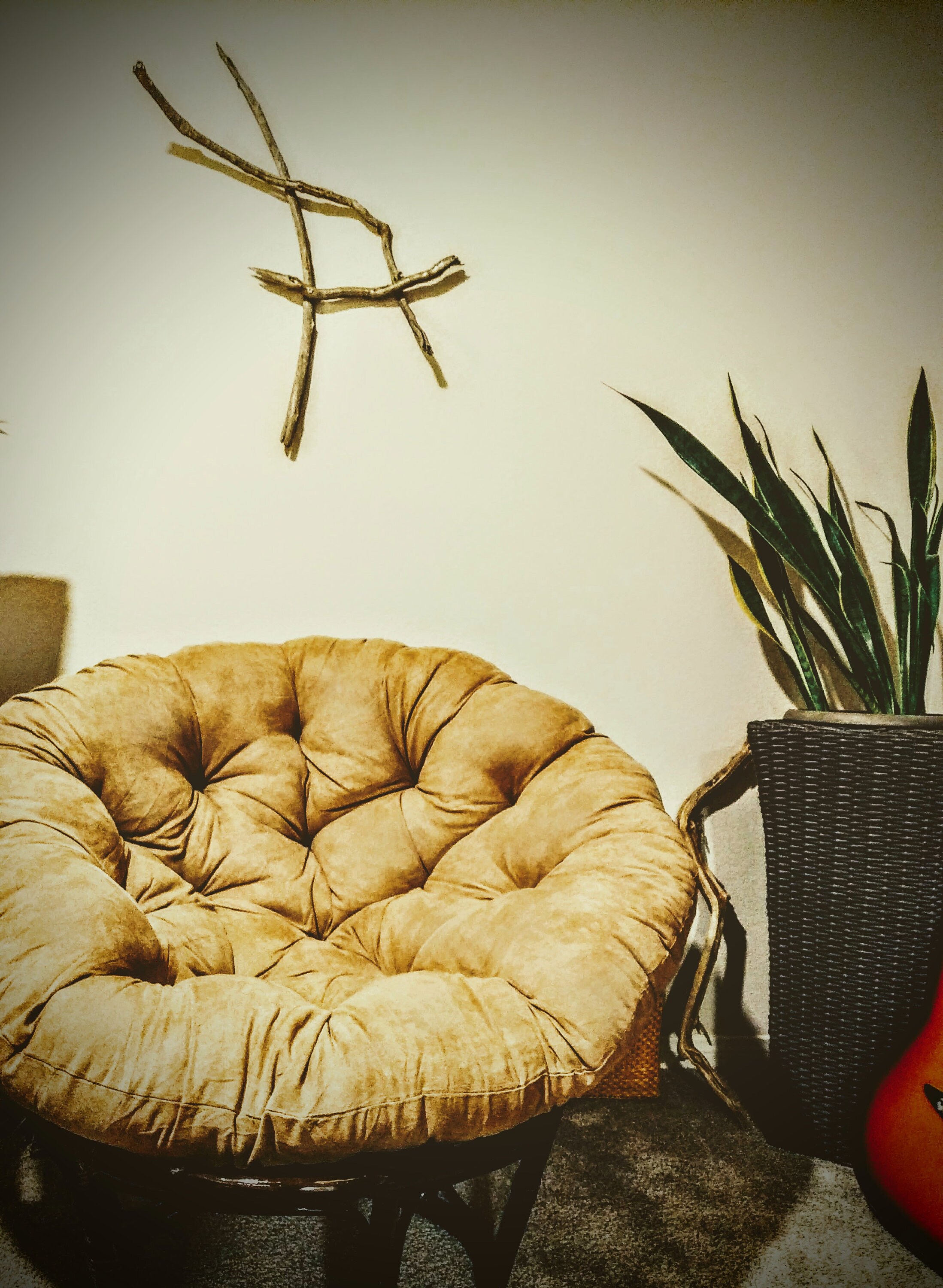 Desert Creosote Branch Hangings - Etsy