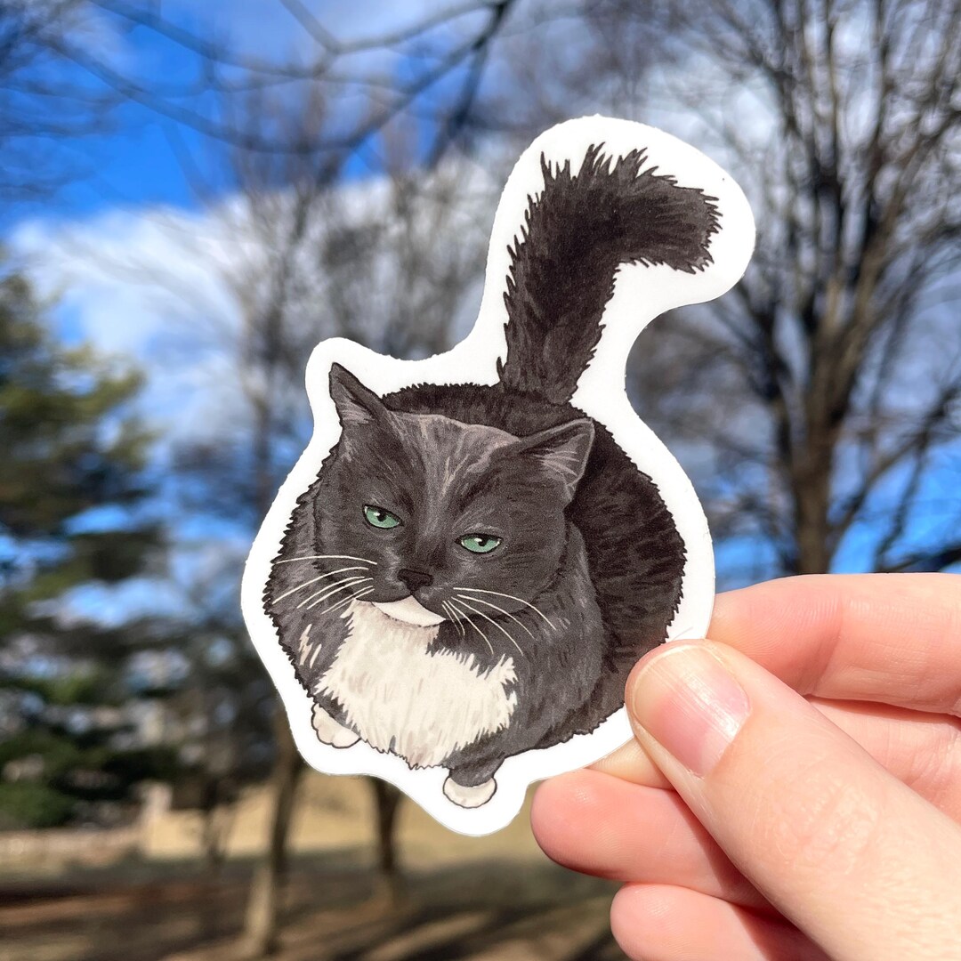 Grumpy Fat Cat, Gray Long-haired Cat, Premium Vinyl Sticker - Etsy