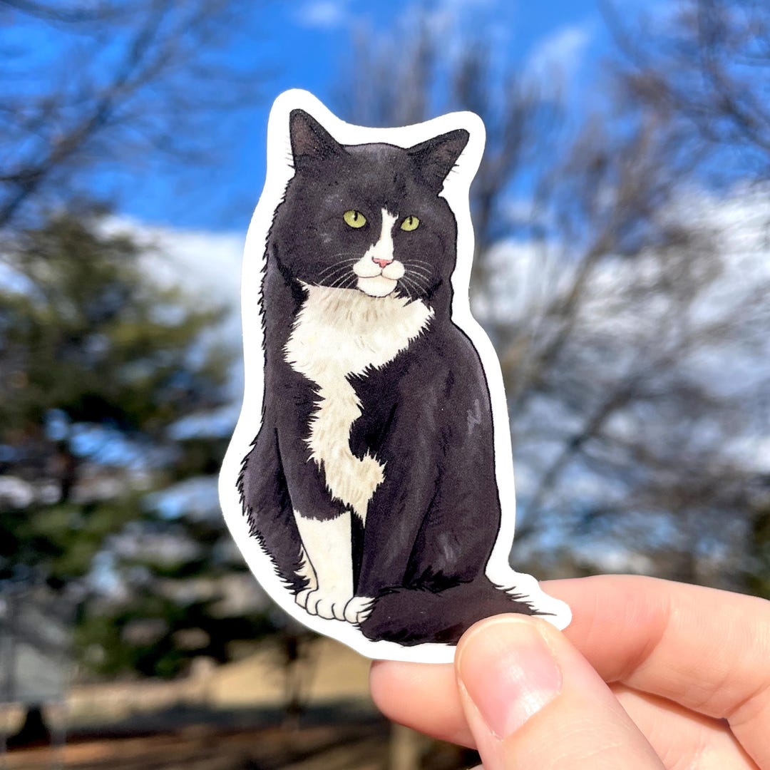 Long Hair Tuxedo Cat With Black and White Fur, Premium Vinyl Sticker - Etsy