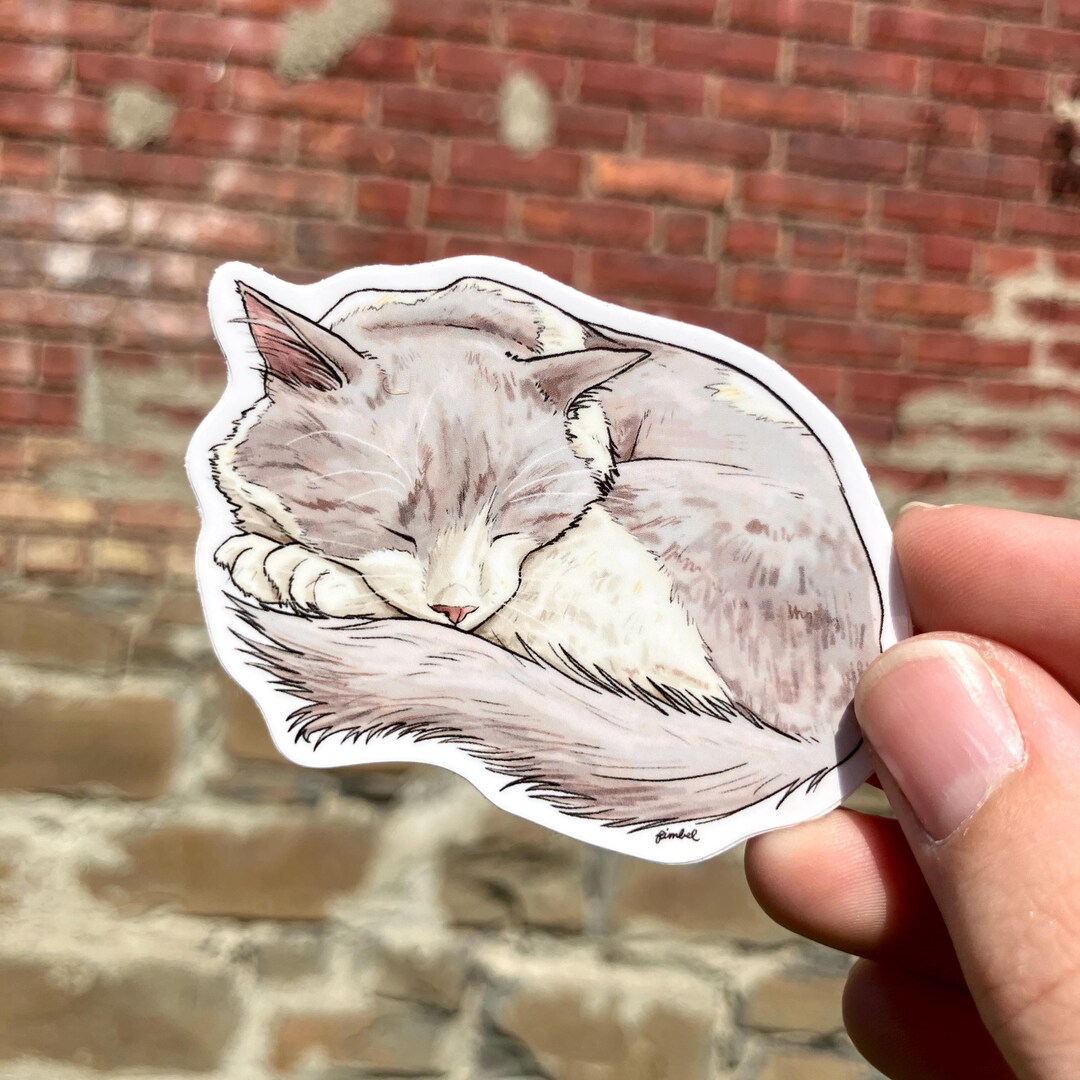 Gray and White Cat Napping, Premium Vinyl Sticker - Etsy