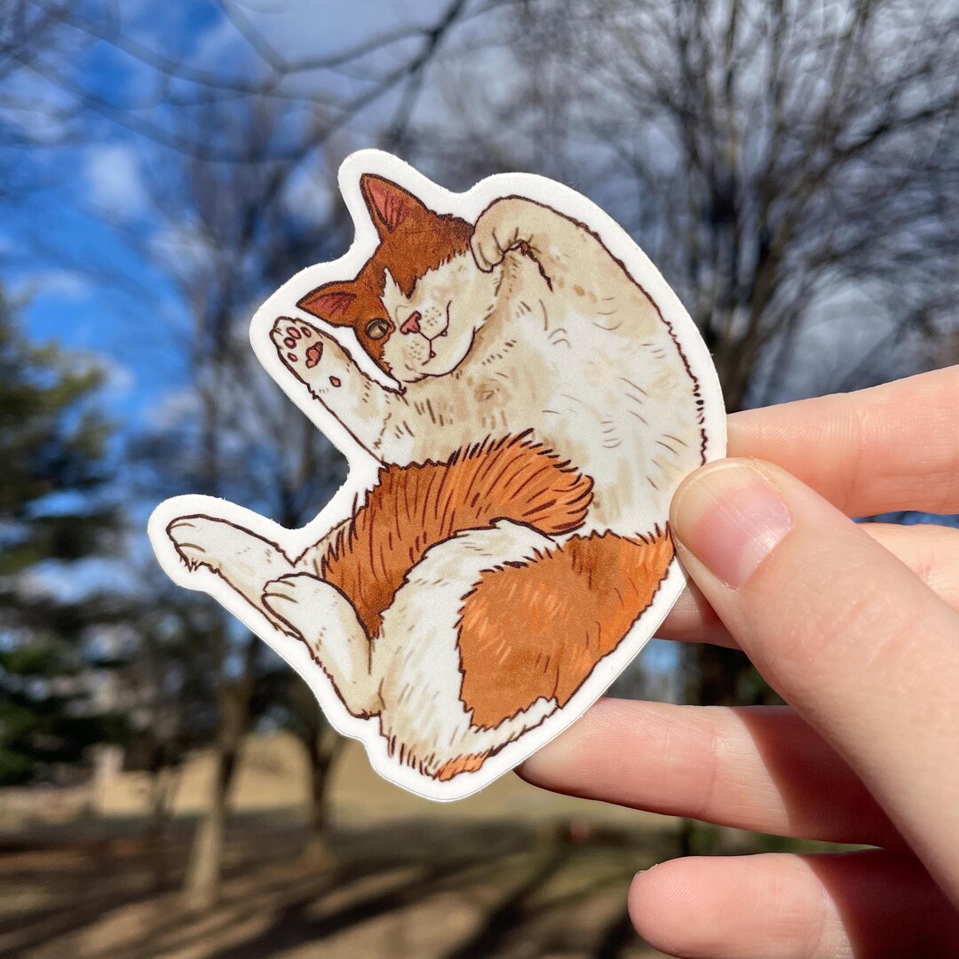 One-eyed Winking Cat, Orange and White Fur, Premium Vinyl - Etsy