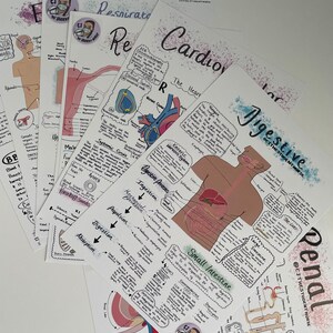 Anatomy & Physiology Posters - Etsy