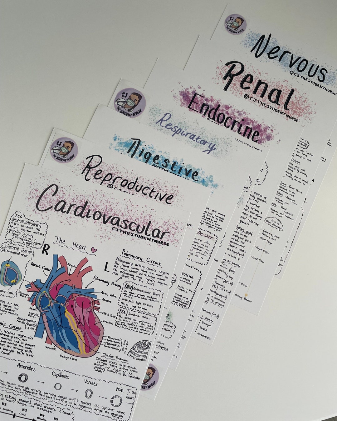 Anatomy & Physiology Posters - Etsy