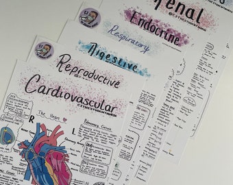 A4 Anatomy Posters - Etsy