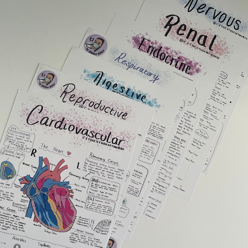 Anatomy and Physiology Note Taking Templates Study Guide - Etsy