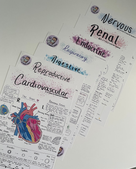 Anatomy & Physiology Posters - Etsy