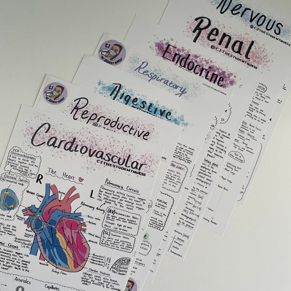 Anatomy and Physiology Poster - Etsy