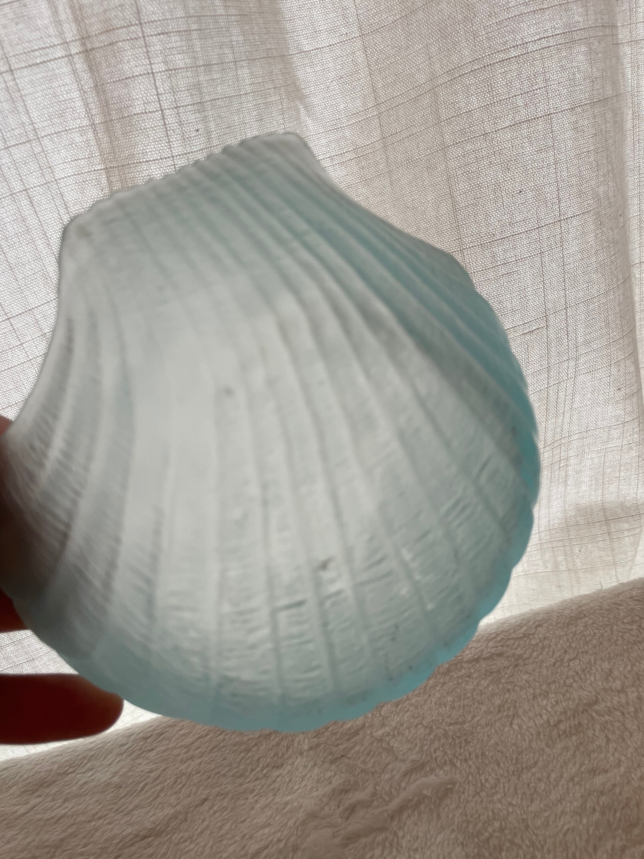 Baby Blue Seashell Dish / Glass Seashell Bowl - Etsy