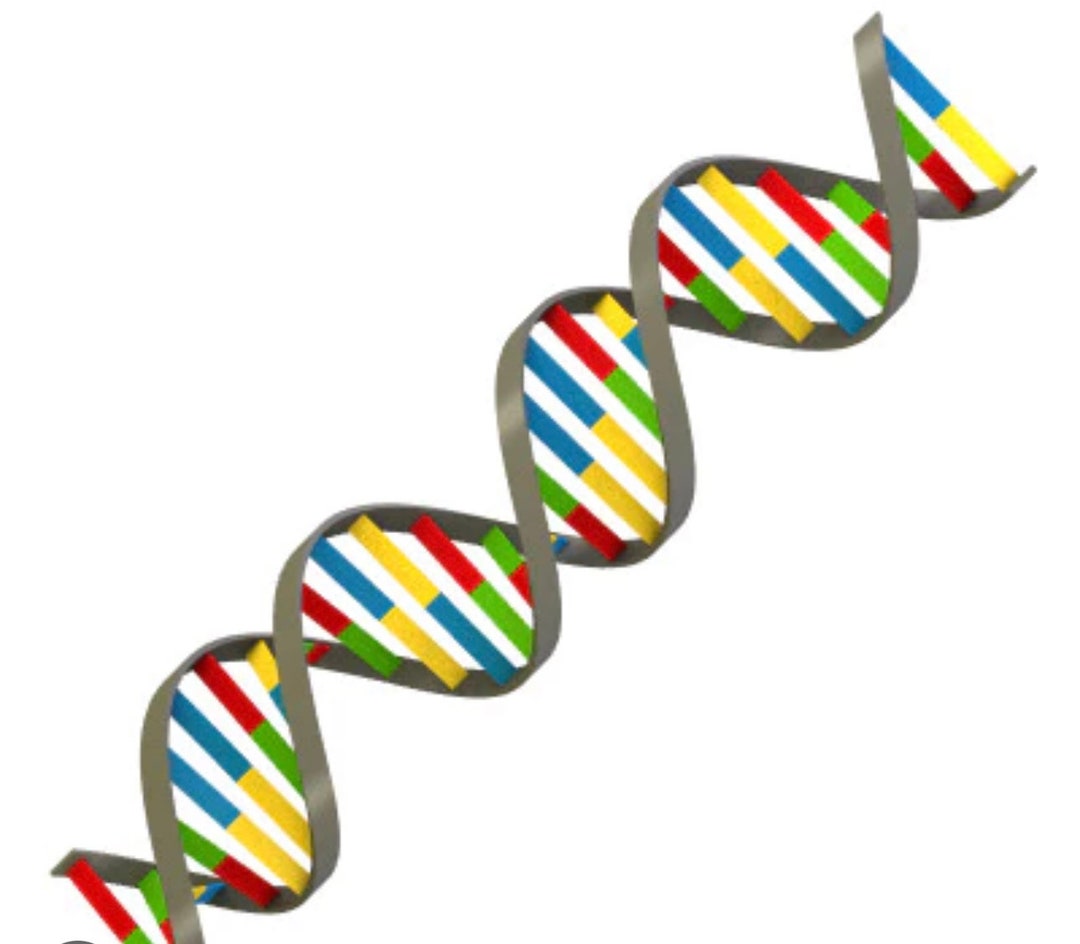 36 Strands Galactic DNA Activation - Etsy