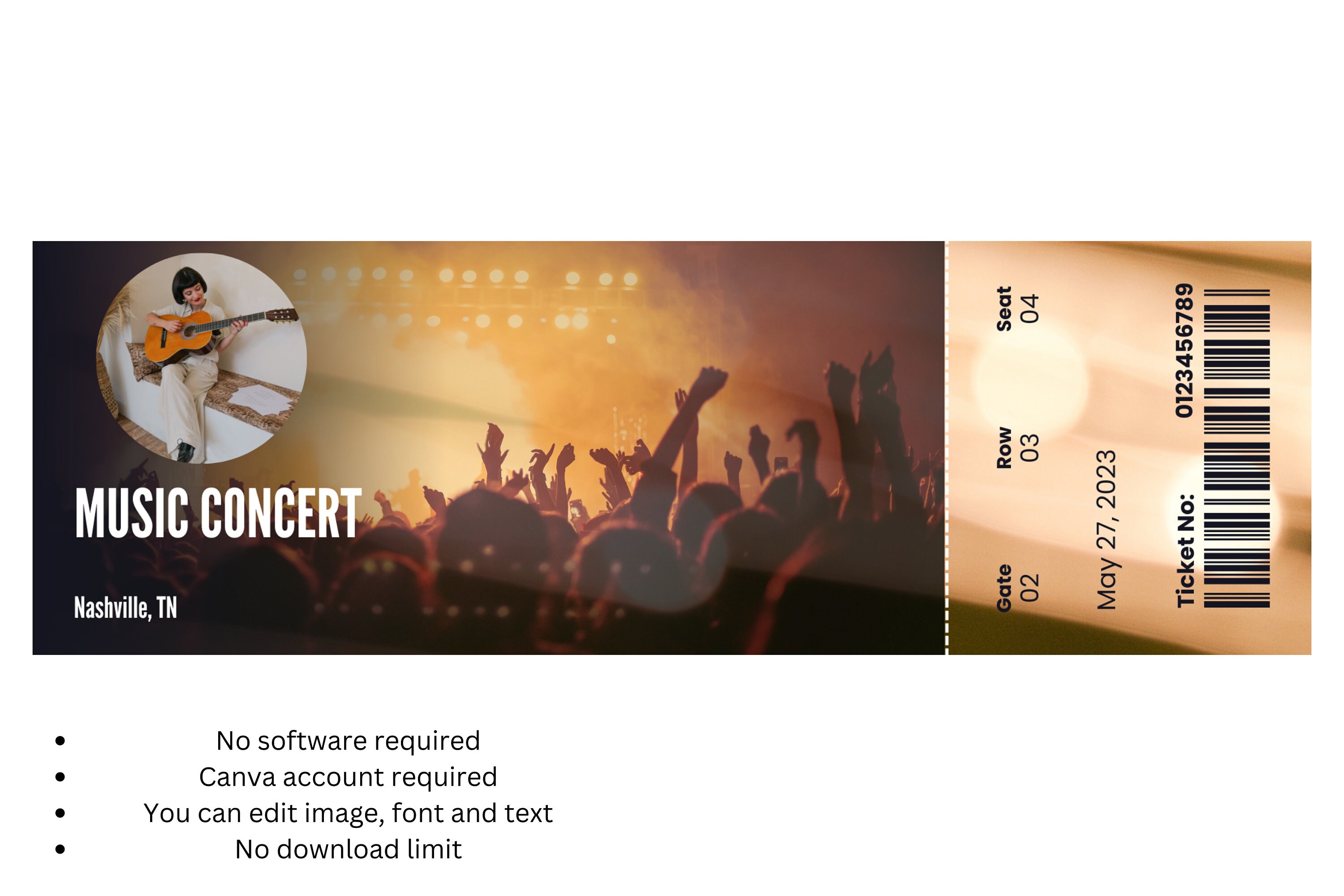 Editable Concert Ticket Template | Printable Event Ticket | Custom ...