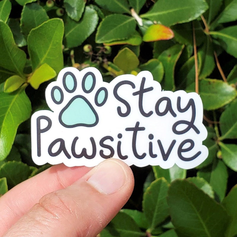 Pawsitive - Etsy