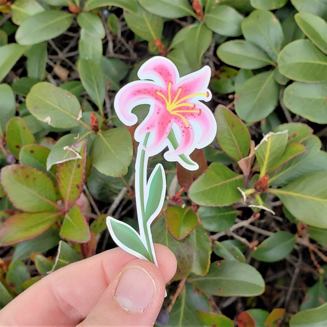 Lily Stickers for Laptop, Floral Stickers for Water Bottle, Garden ...