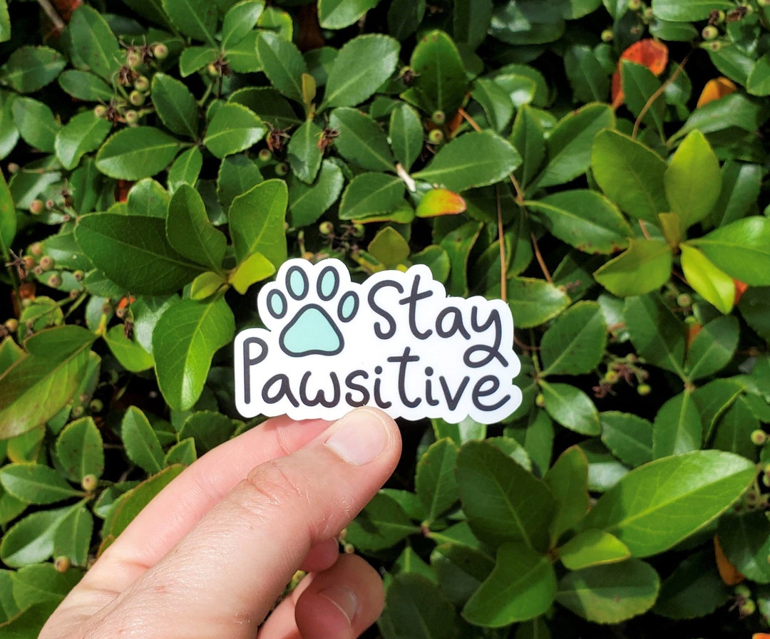 Stay Pawsitive Sticker for Laptop, Dog Mom Gift for Friend, Dog Lover ...