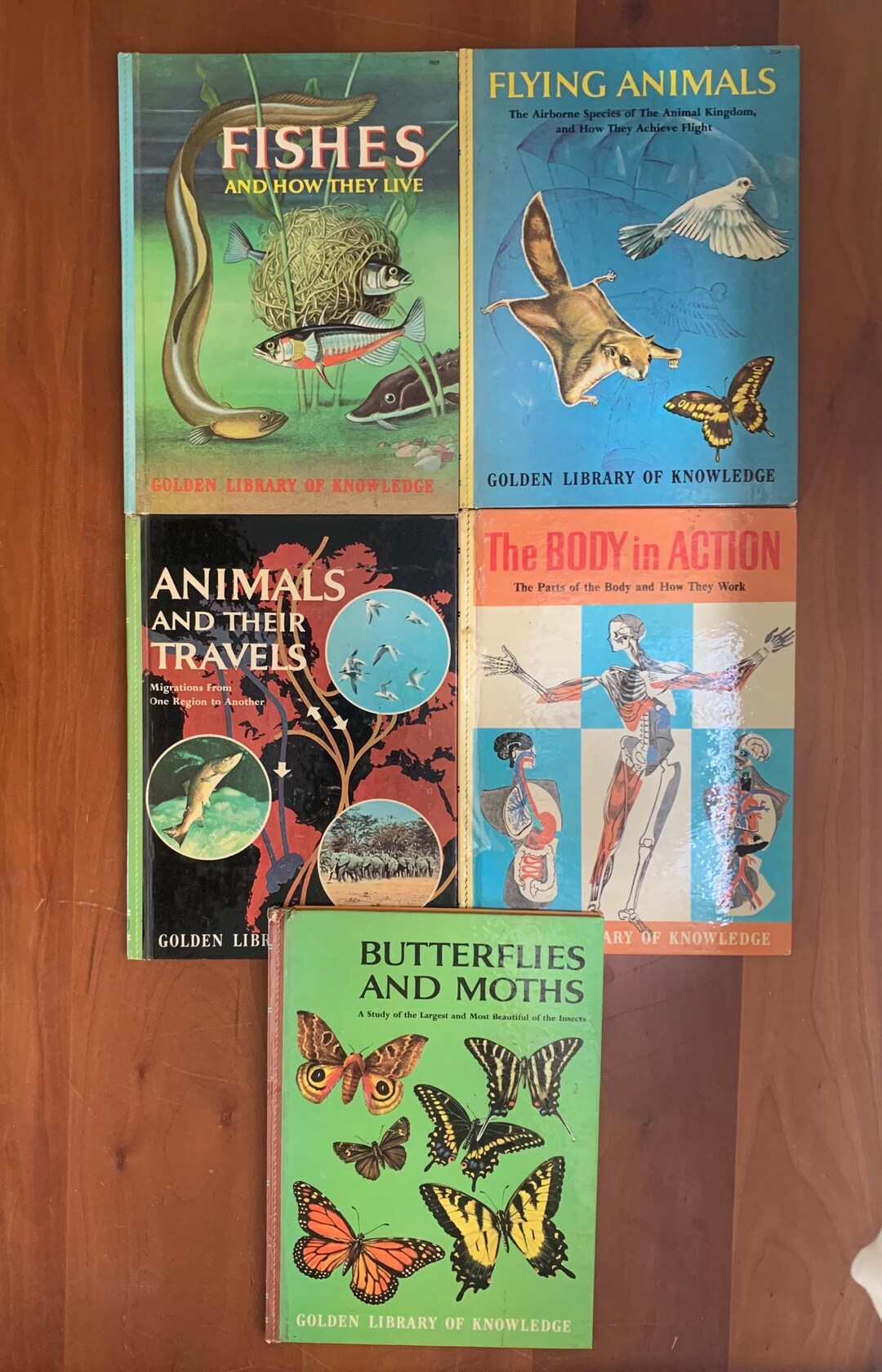 Golden Library of Knowledge 5 Books Body in Action Flying Animals ...