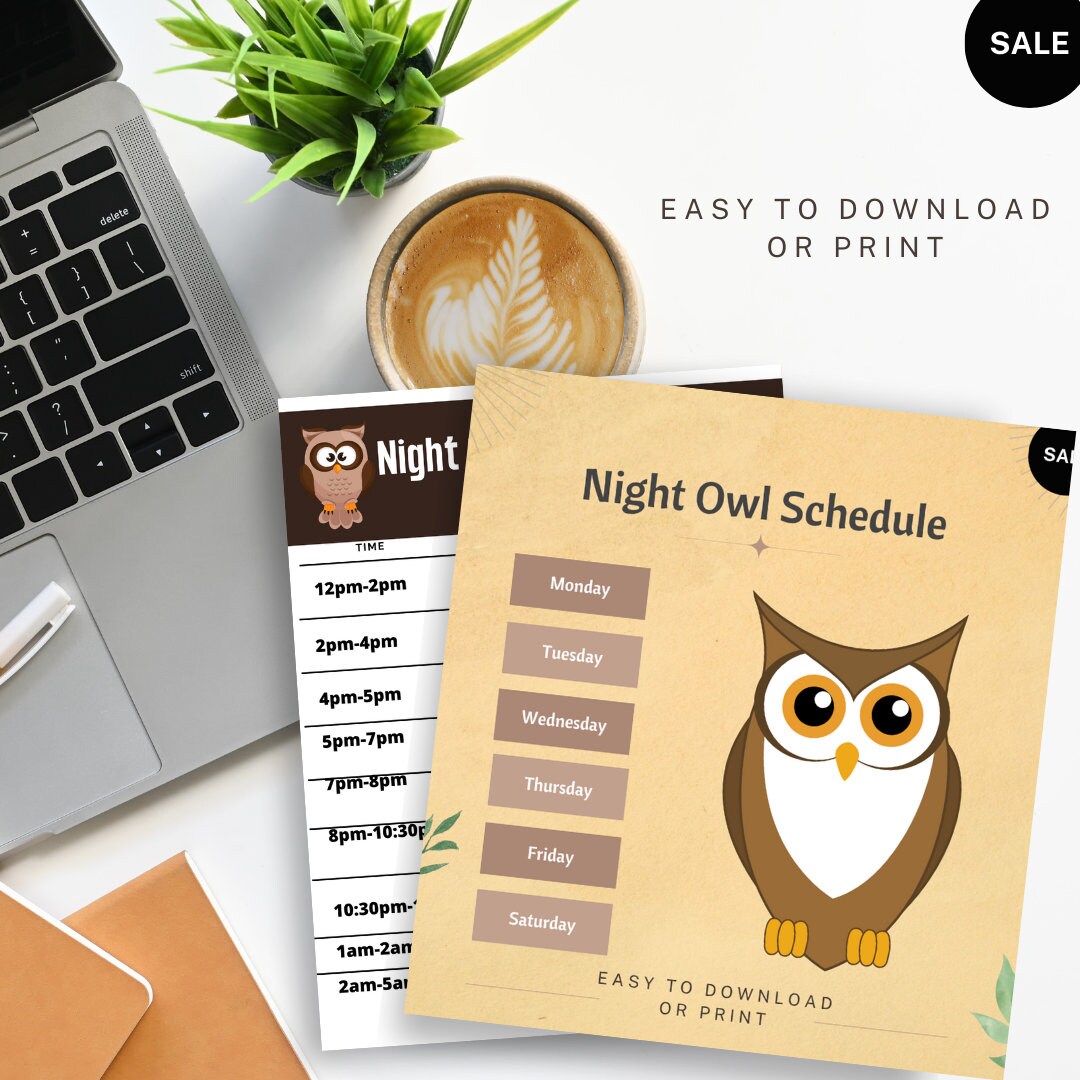 Night Owl Schedule Editable Word Doc Students Who Like to - Etsy UK