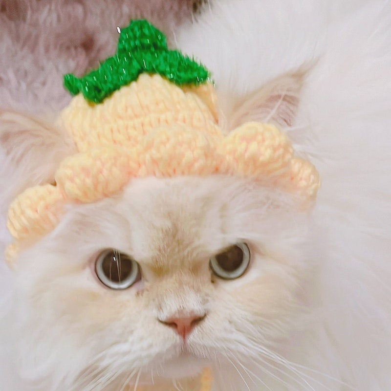 WithMyOwnTwoPaws - Etsy