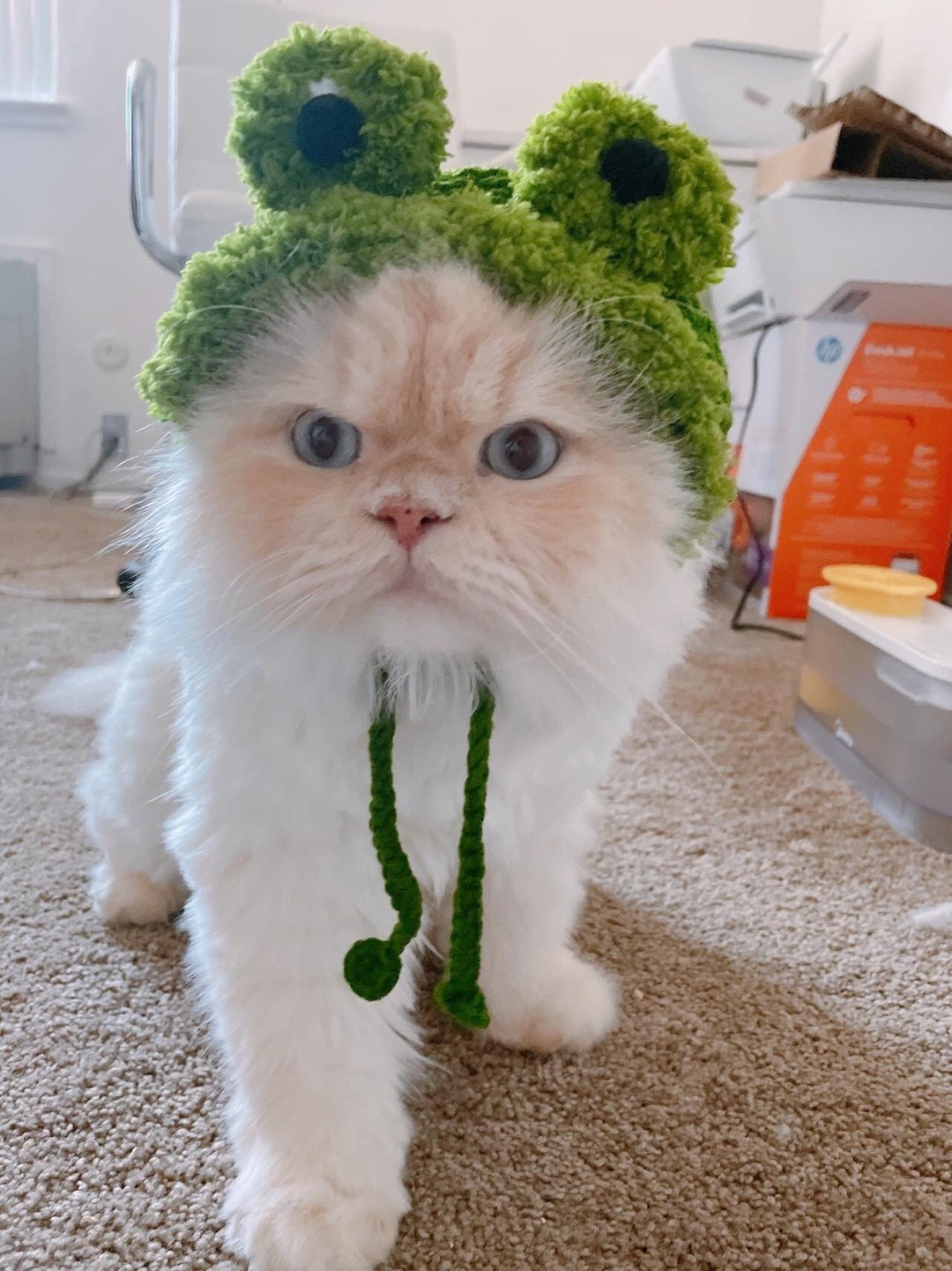 Furry Froggy Hat With Ear Holes (cat Accessories, Small Animal ...