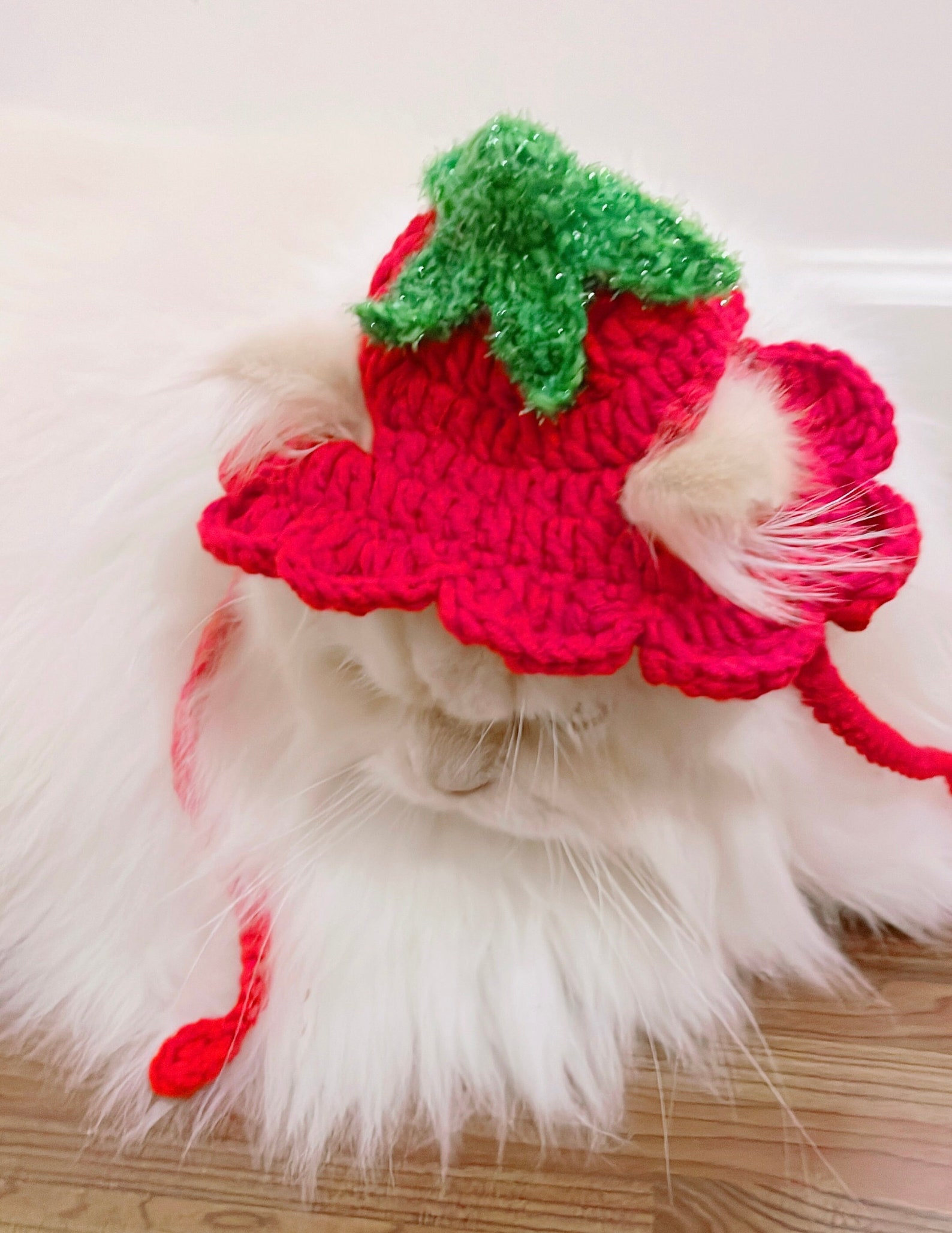 Tomato Hat for Cats and Small Animals Knitted Out of Yarn cat - Etsy
