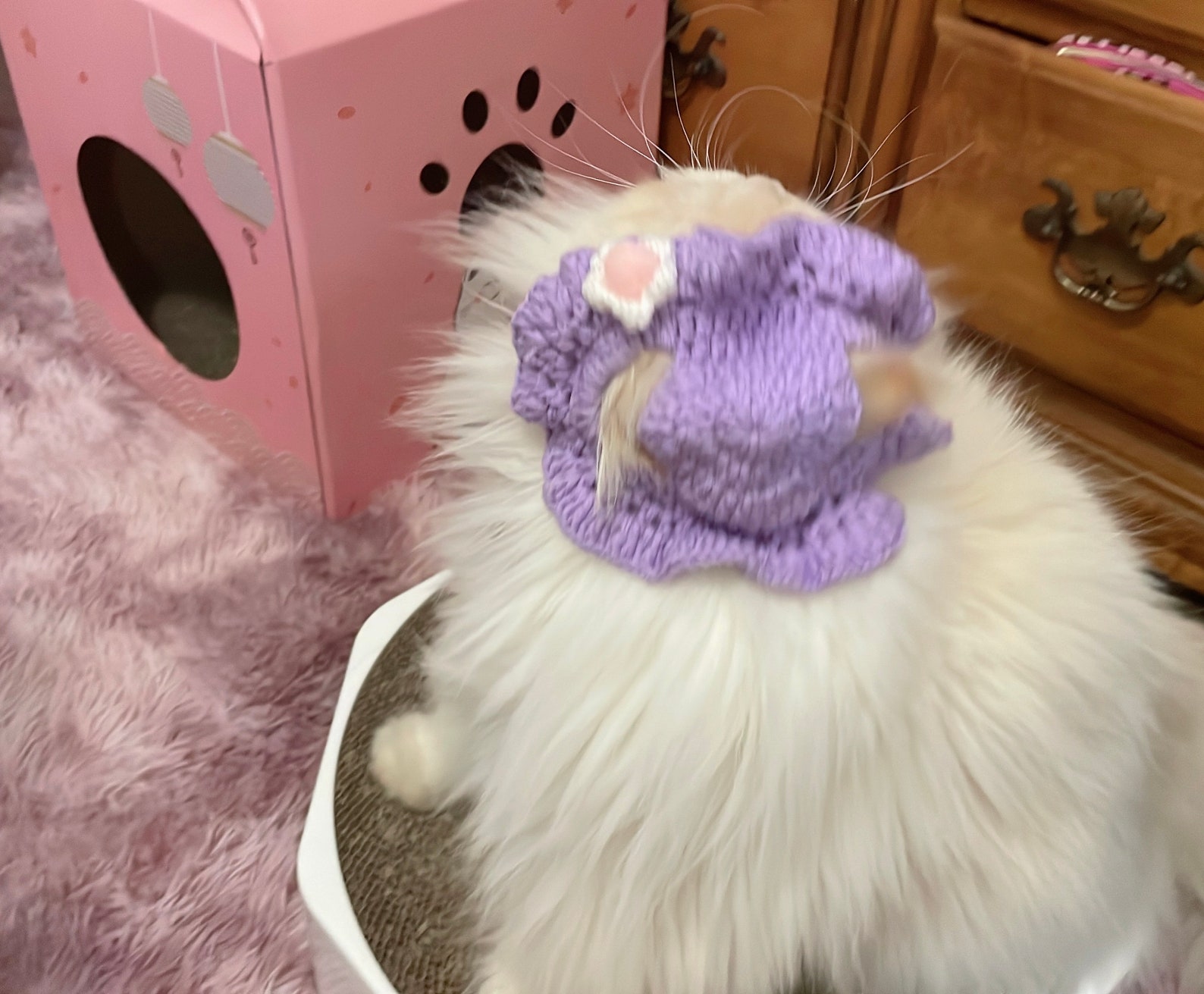 Flower Sun Hat 2 Different Styles Purple and White cat | Etsy