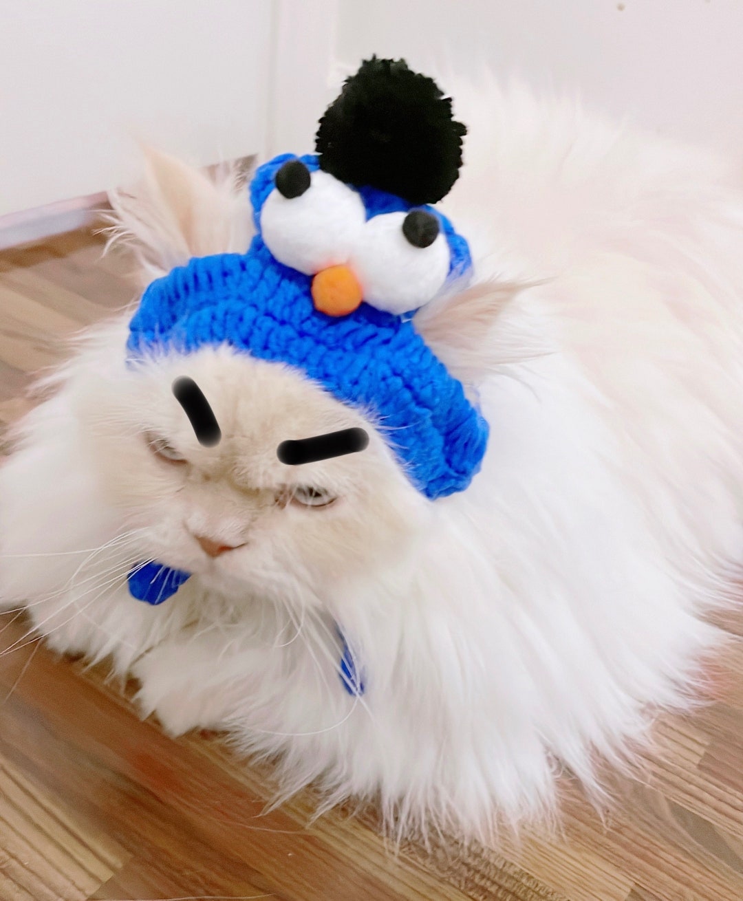 Halloween Puppet Themed Hats in 2 Colors With Black Puff Ball (cat ...