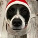 Red Christmas Knitted Hat / Beanie for Cat or Dog Small and - Etsy