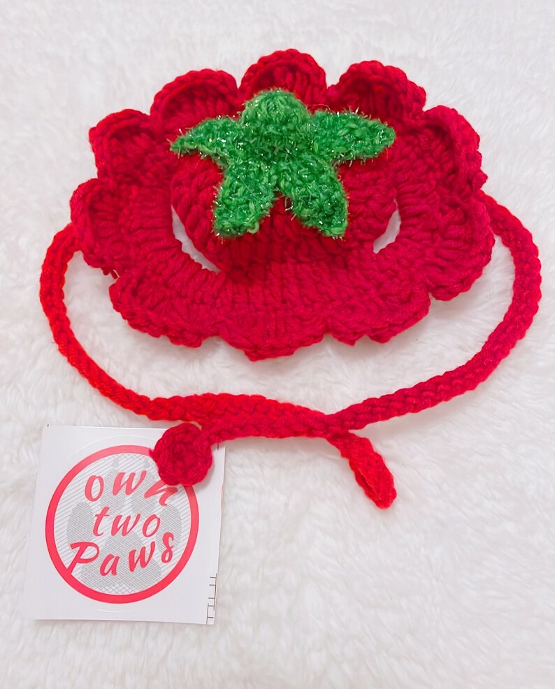 Tomato Hat for Cats and Small Animals Knitted Out of Yarn cat - Etsy