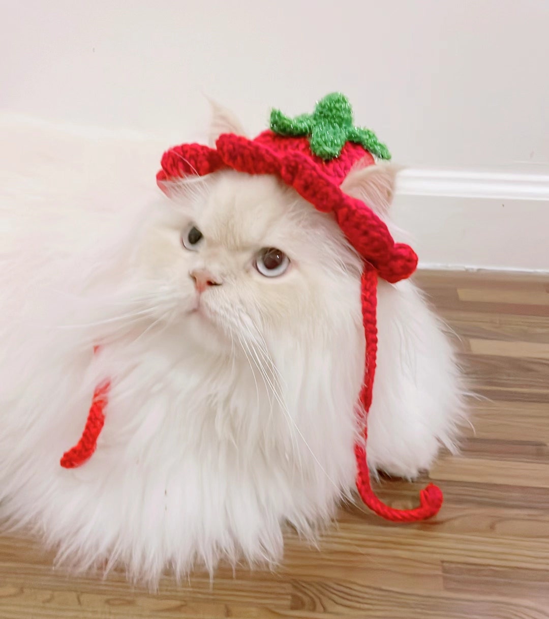 Tomato Hat for Cats and Small Animals Knitted Out of Yarn (cat ...