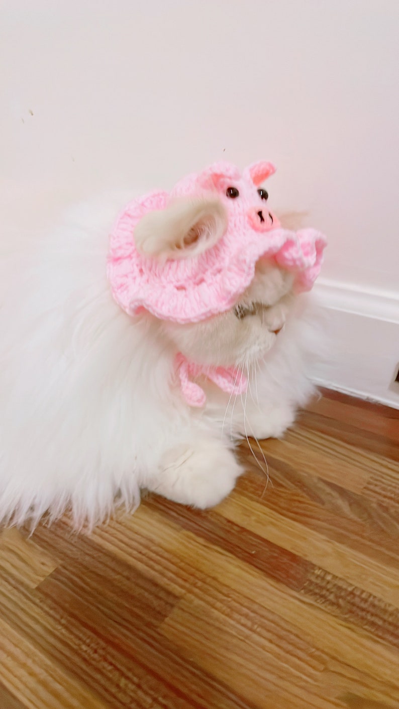 Pink Knitted Yarn Pig Hat for Cat or Small Animal new Design - Etsy