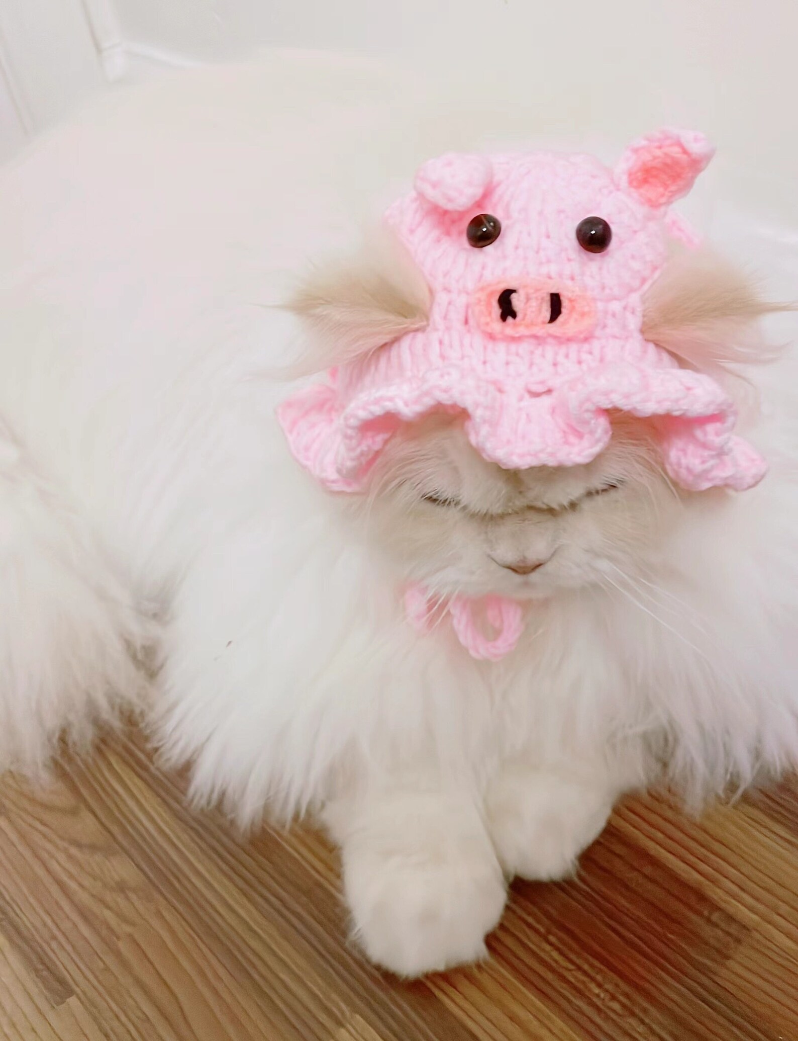 Pink Knitted Yarn Pig Hat for Cat or Small Animal new Design - Etsy