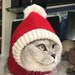 Red Christmas Knitted Hat / Beanie for Cat or Dog Small and - Etsy