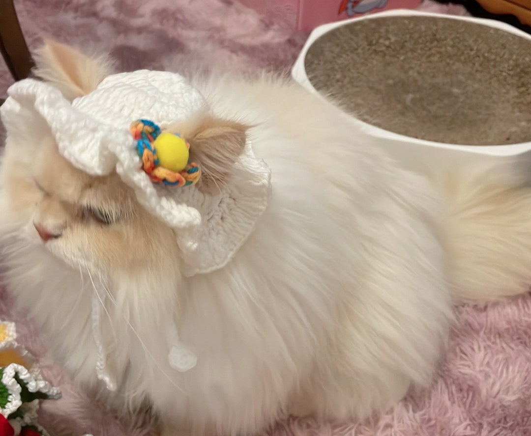 Flower Sun Hat 2 Different Styles Purple and White cat Accessories ...