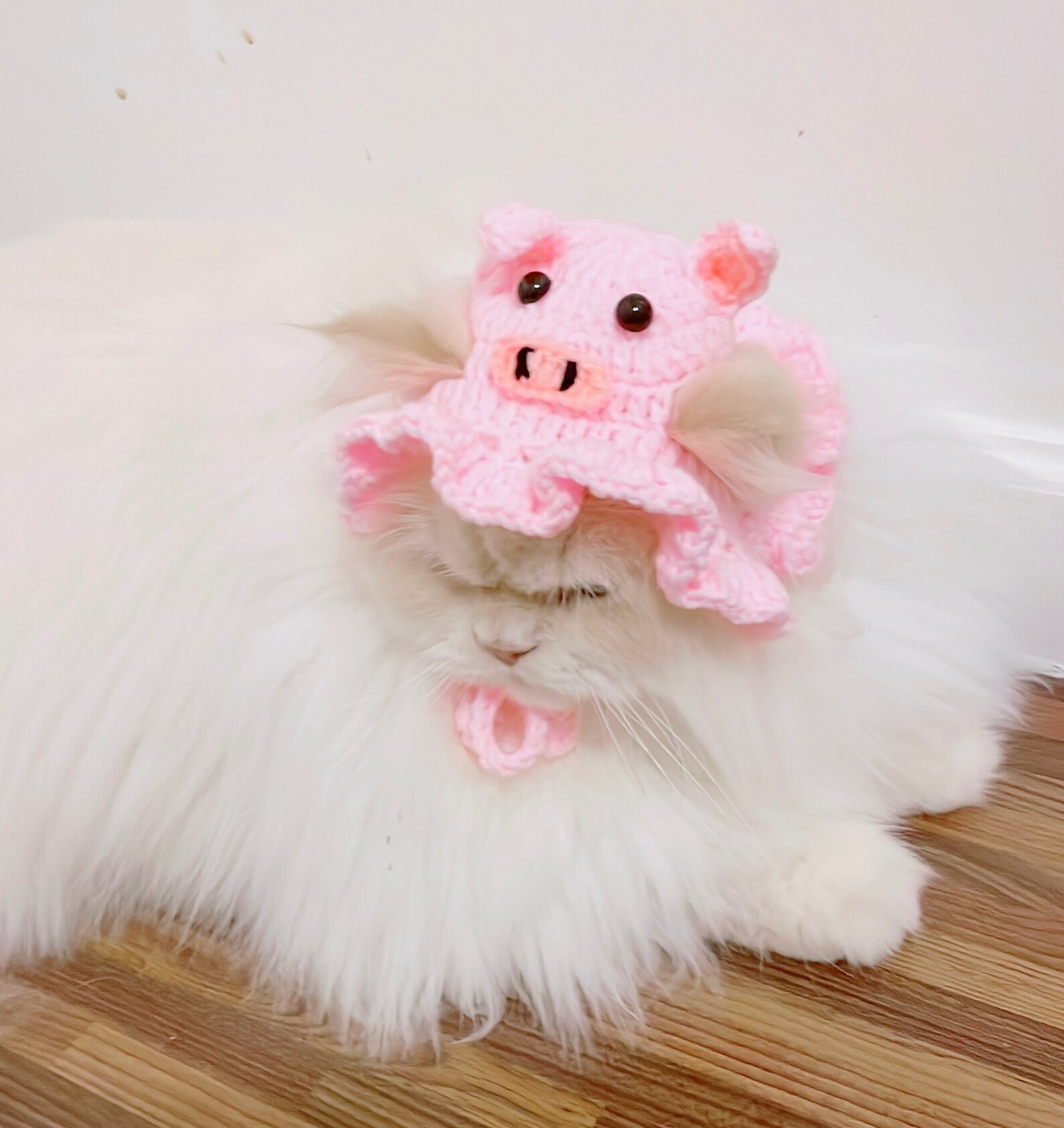 Pink Knitted Yarn Pig Hat for Cat or Small Animal new Design - Etsy