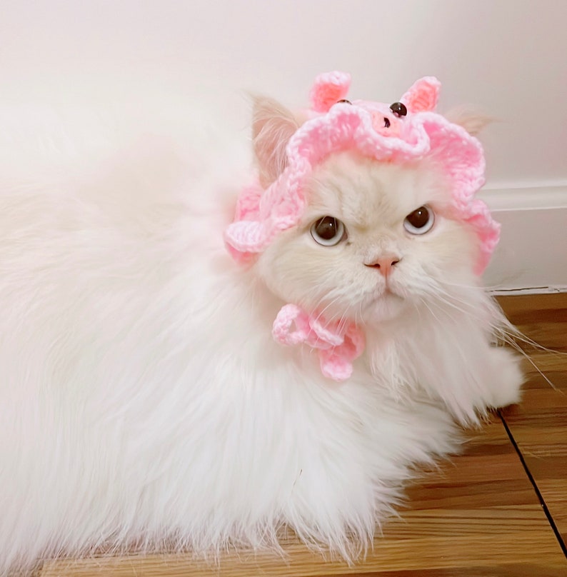 Pink Knitted Yarn Pig Hat for Cat or Small Animal new Design - Etsy