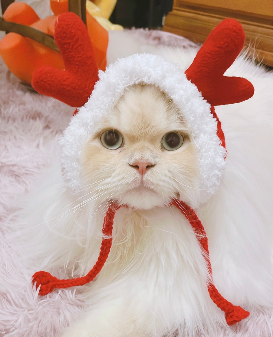 Multiple Variations of Reindeer Hat With Antlers for Cats cat ...
