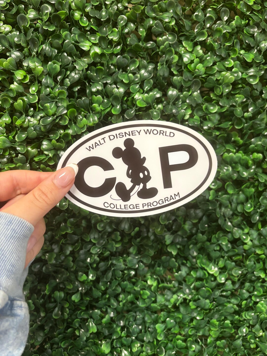 WDW College Program 5 Inch Sticker - Etsy