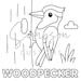 Forest Animal Coloring Pages – Kids' Woodland Activity (instant ...
