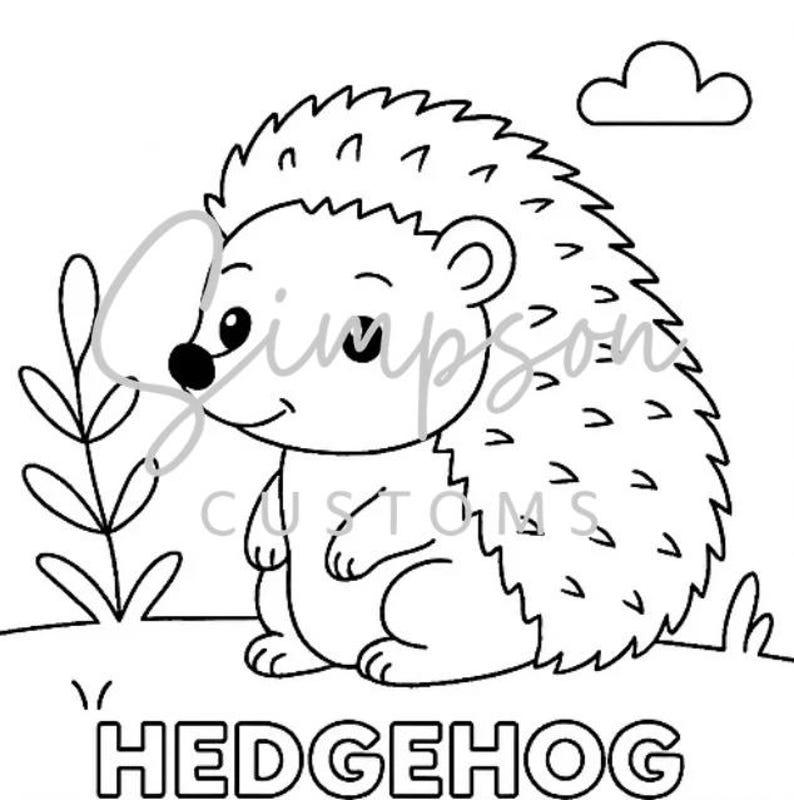 Forest Animal Coloring Pages – Kids' Woodland Activity (instant ...