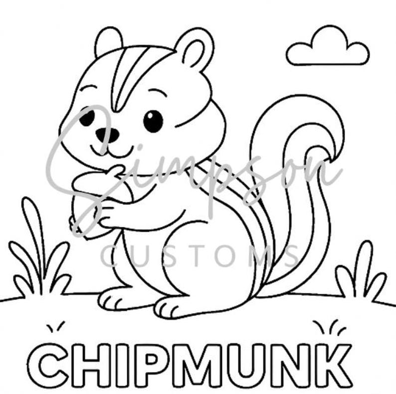 Forest Animal Coloring Pages – Kids' Woodland Activity (instant ...