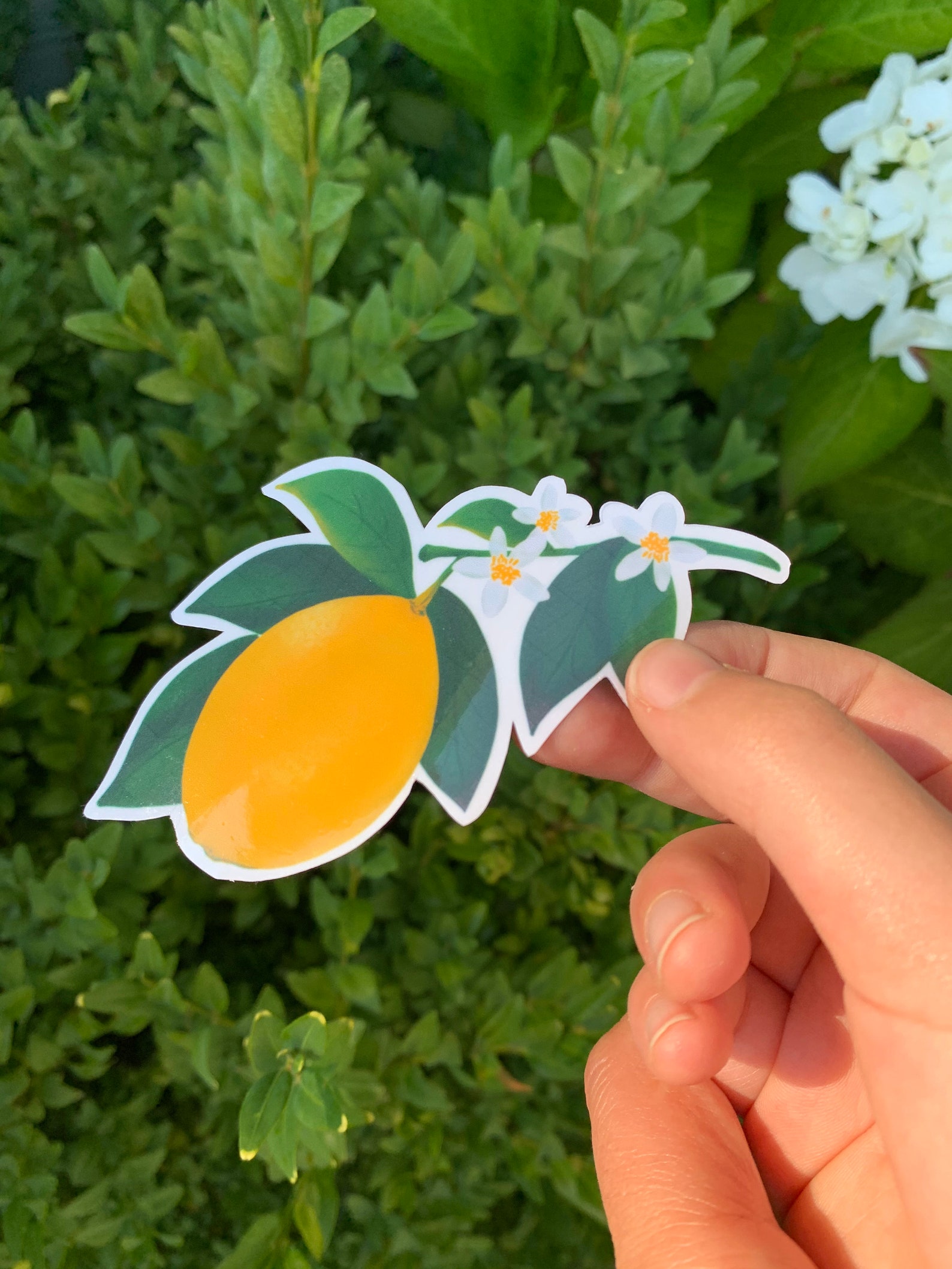 Lemon Joy Lemon Sticker Vinyl Sticker Cute Stickers | Etsy