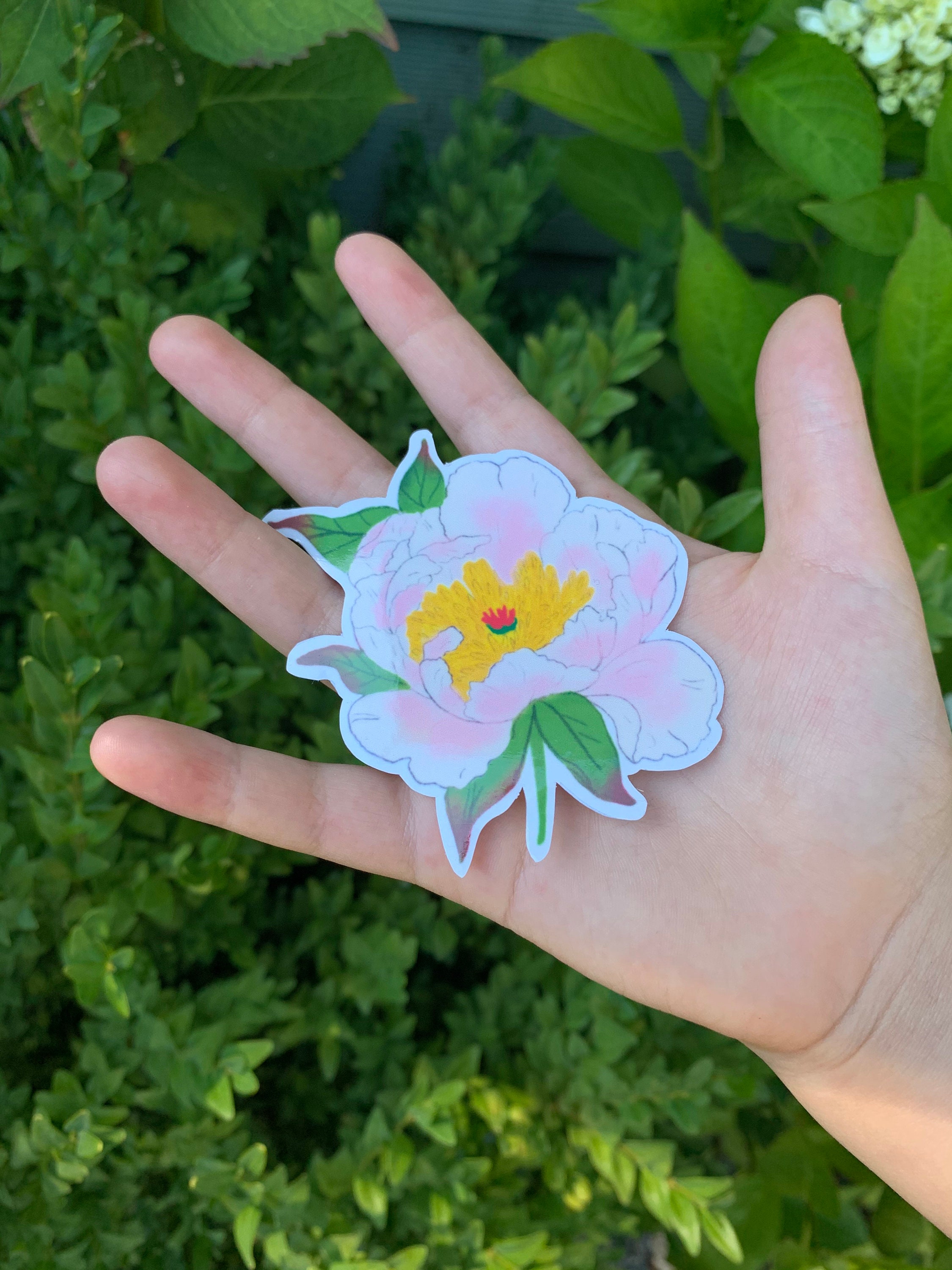 Peonies Reine Supreme Peony Flower Sticker Vinyl Sticker - Etsy