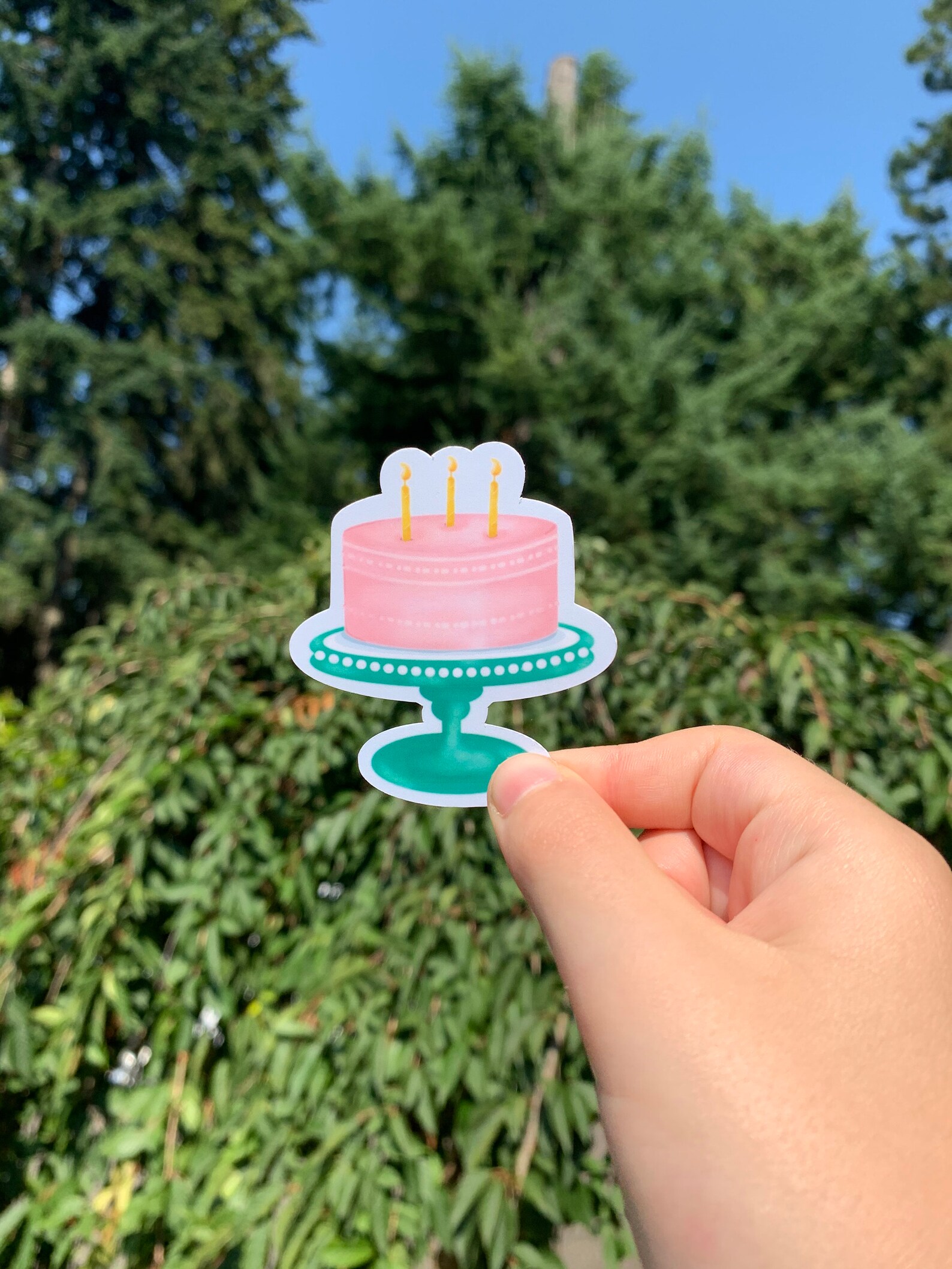 Birthday Cake Birthday Sticker Vinyl Sticker Cute | Etsy