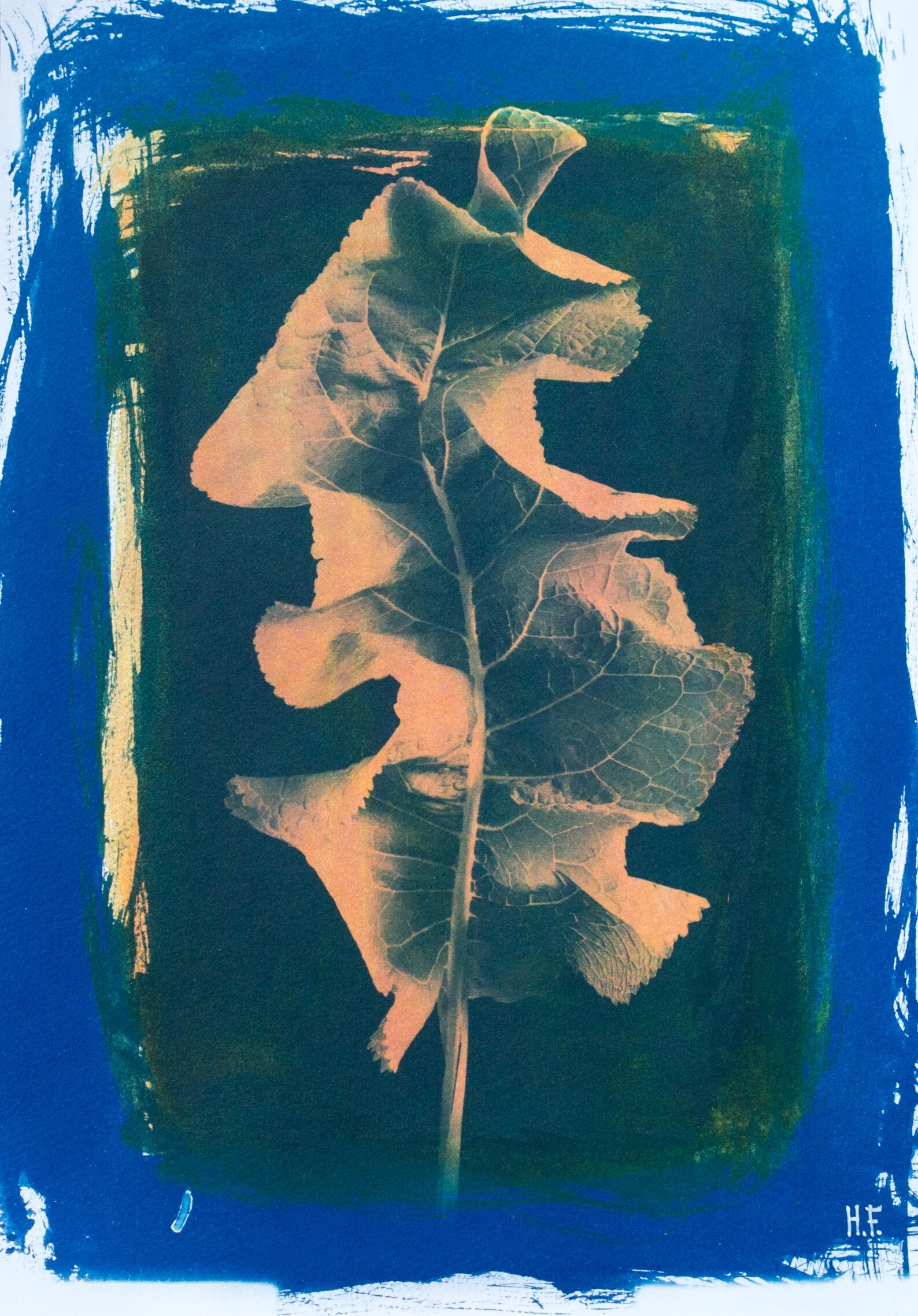 Leave Colorized Cyanotype Print From Negative A4 Size - Etsy