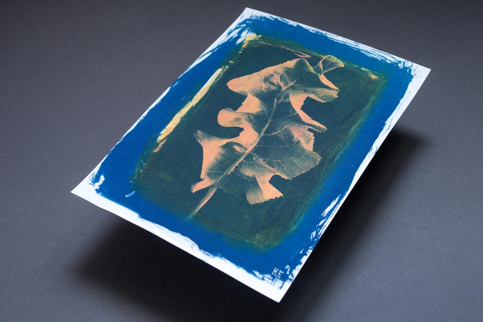 Leave Colorized Cyanotype Print From Negative A4 Size - Etsy