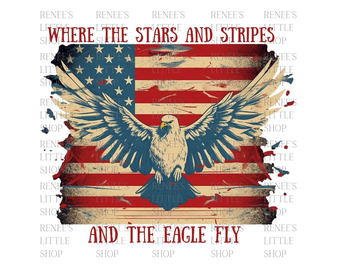 American Patriotic Flag and Eagle Where the Stars and Strips - Etsy