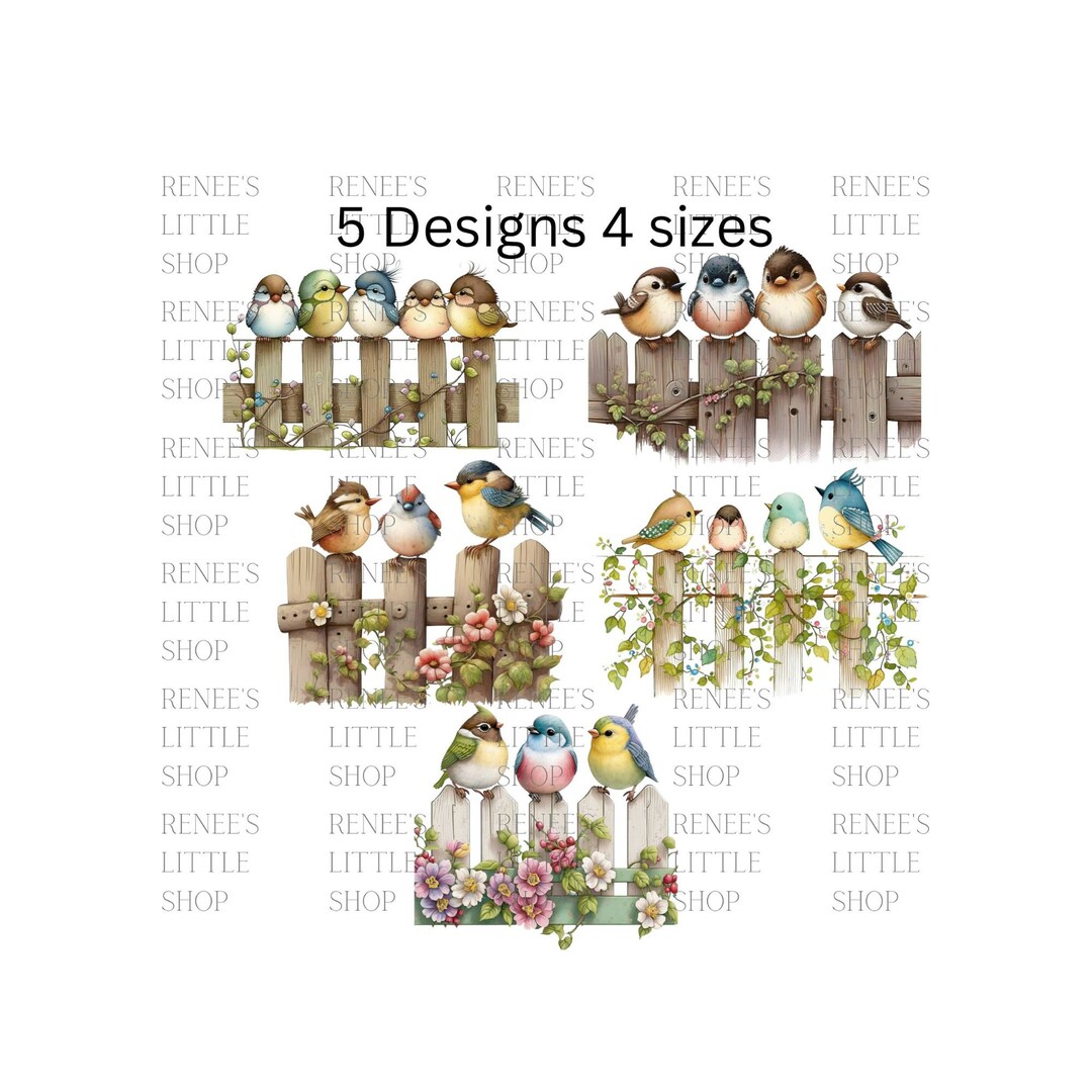 Adorable Bird Clipart Bundle: Digital PNG Designs for Crafts ...