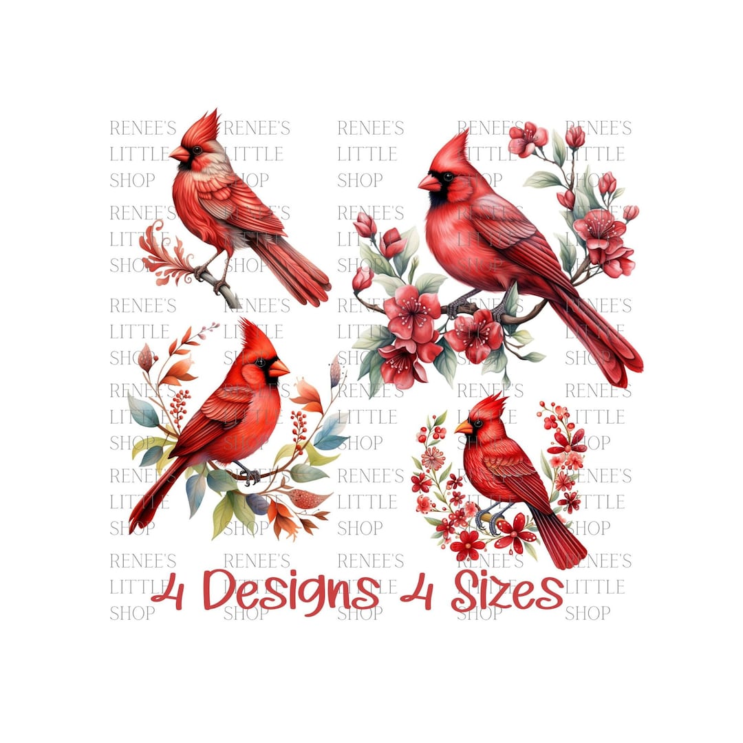 Delicate Red Cardinal & Flowers PNG Bundle - High Quality Digital ...
